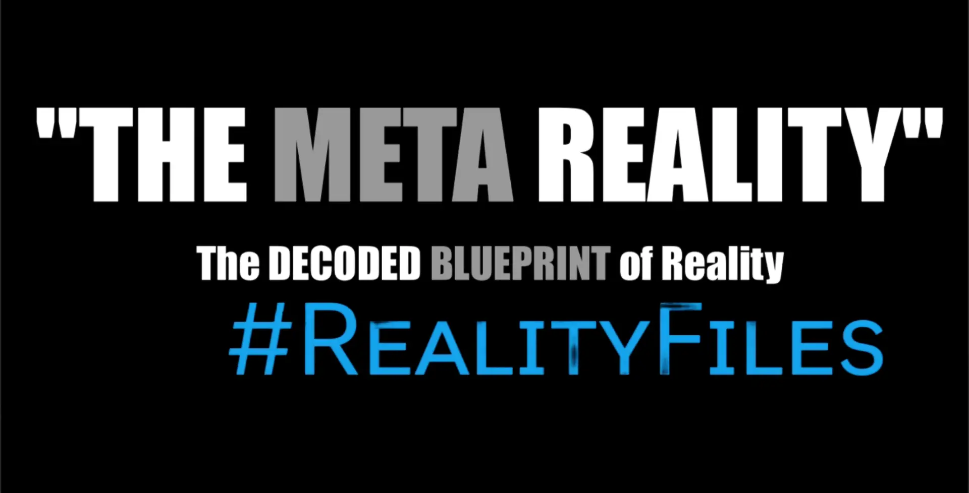 - Meta Reality - Die einzige Realität außerhalb der Matrix